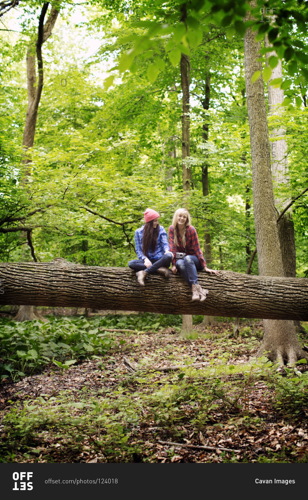 Two friends sitting on a fallen tree trunk stock photo - OFFSET