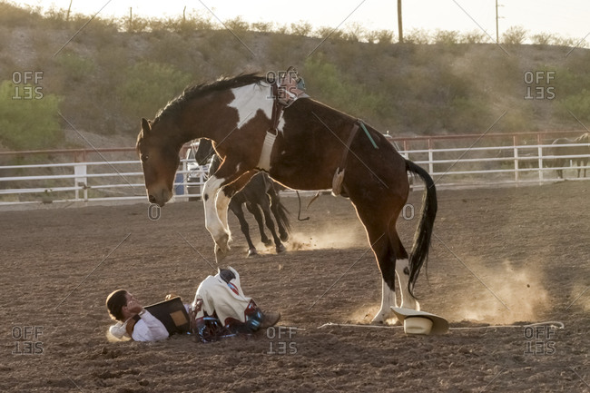 Horse Bucking Rider Off
