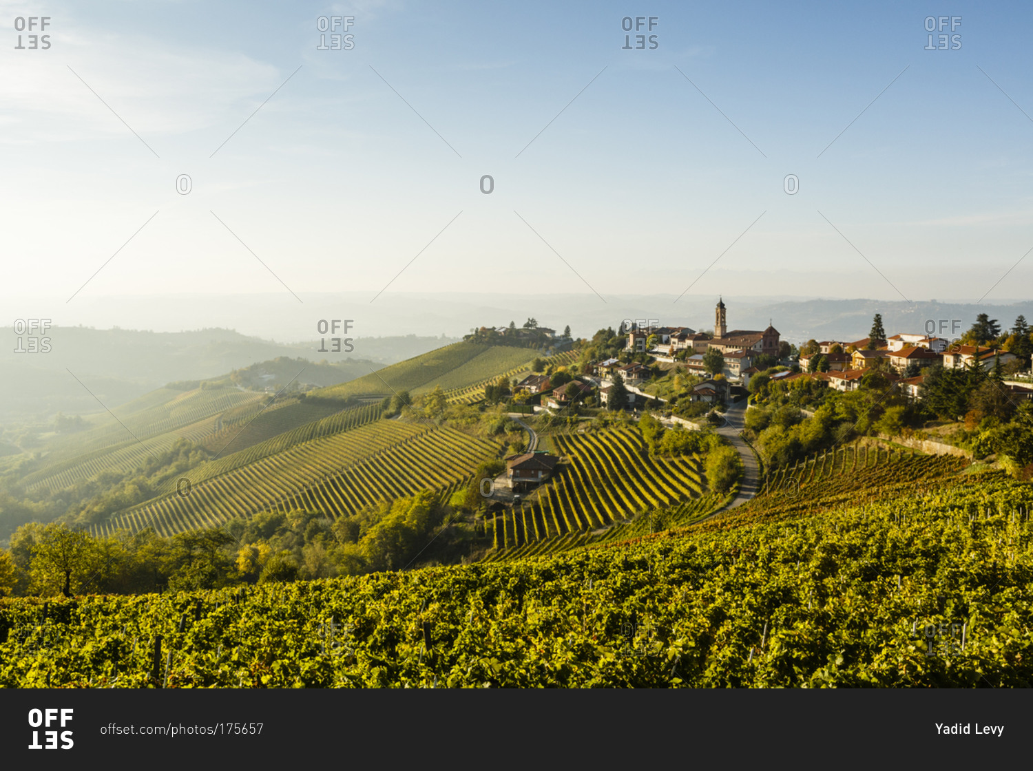 The village of Treiso and vineyards, Langhe, Cuneo district, Piedmont ...