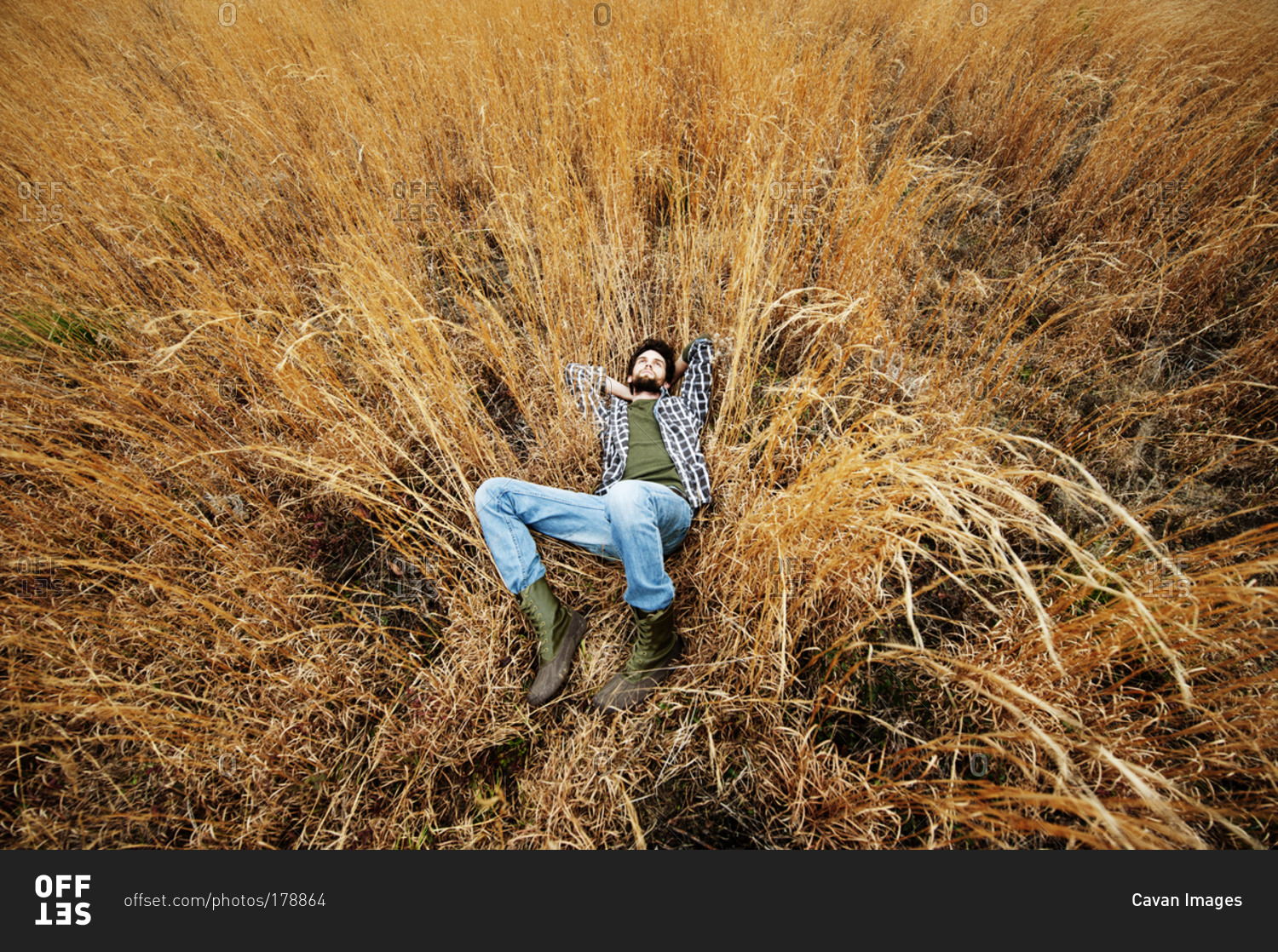 Picture Of Man Laying On The Lawn