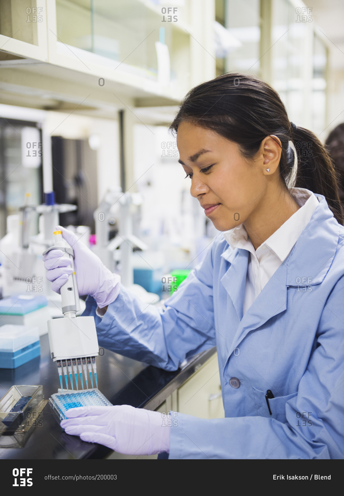Young scientist working in laboratory stock photo - OFFSET