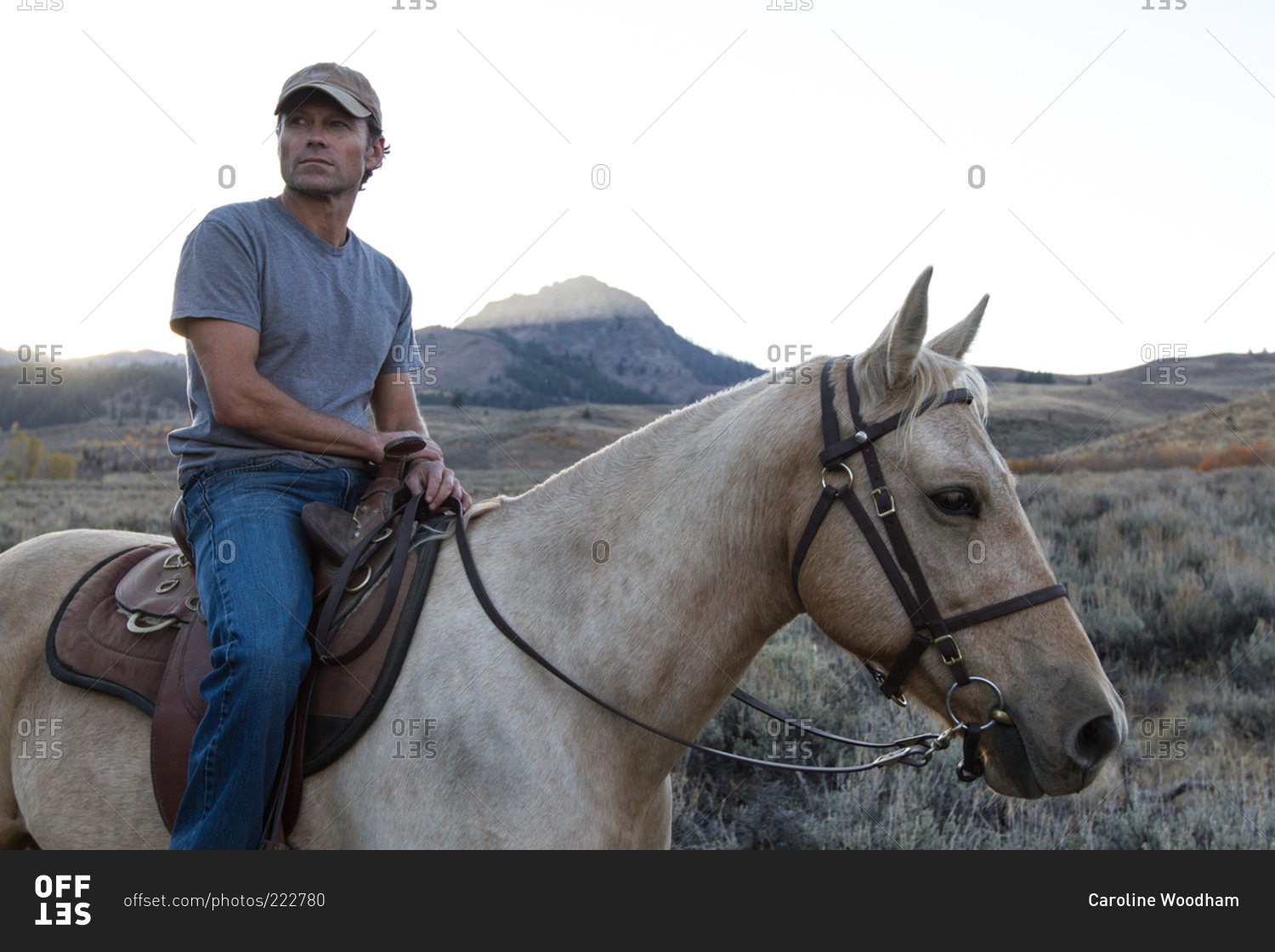 A man riding a horse gazes into the distance stock photo - OFFSET