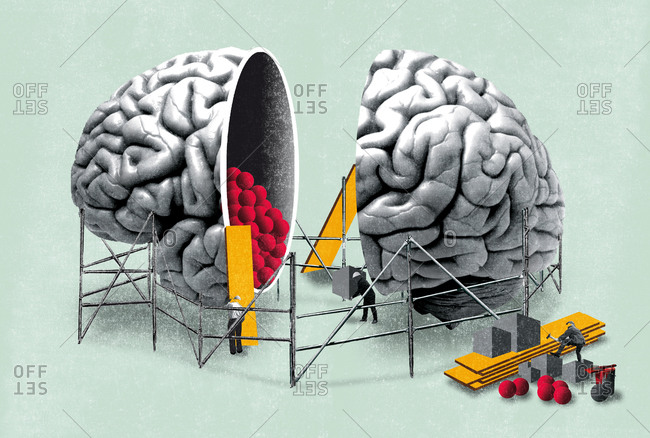 Workers building a large brain stock photo - OFFSET