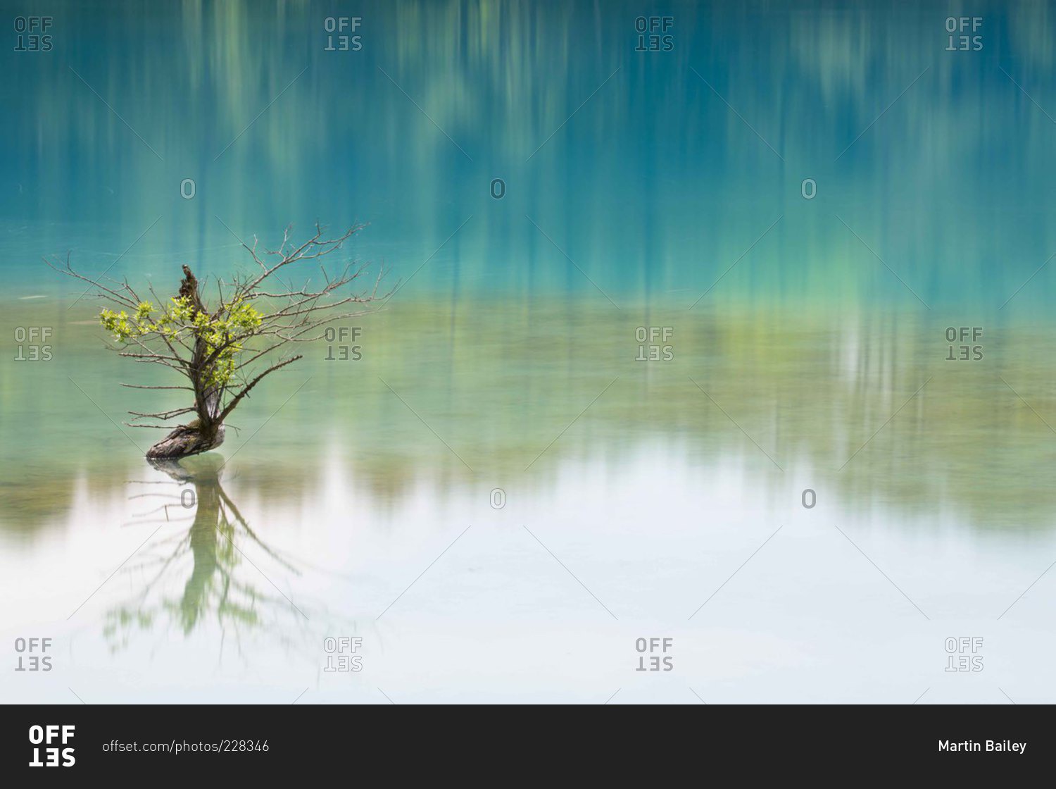 Waters of a Goshiki-numa lake in Urabandai, Fukushima, Japan stock ...