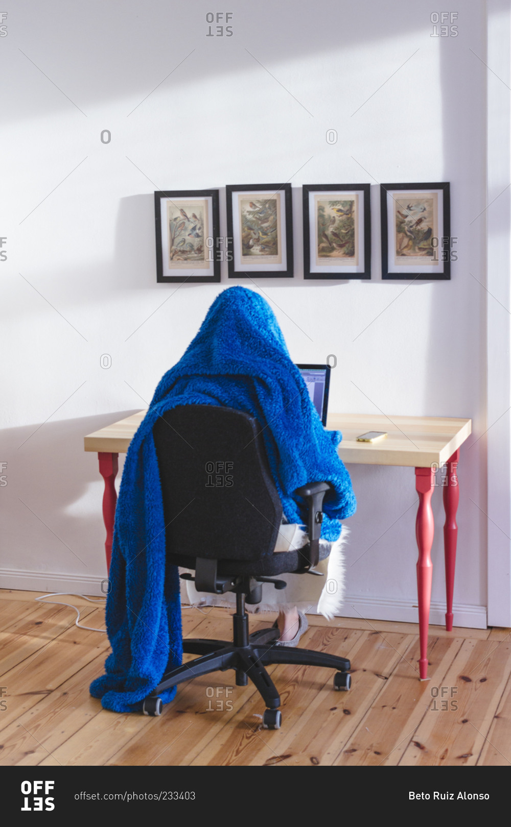 Girl with blanket over head, working at home stock photo - OFFSET