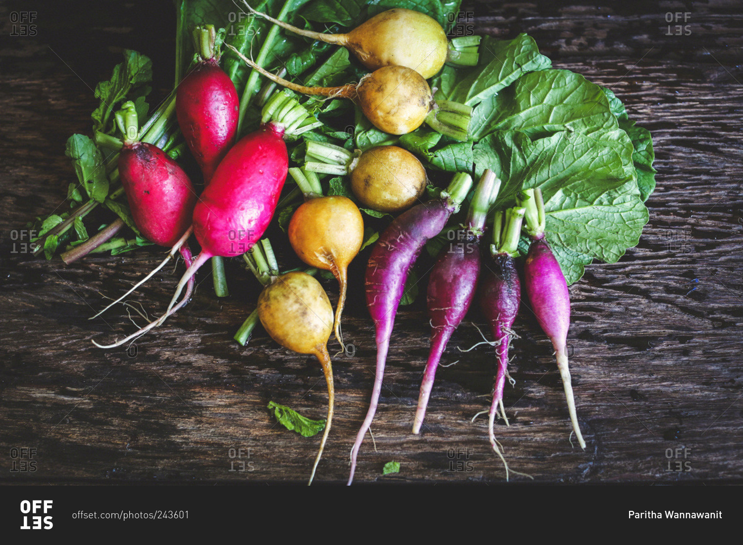 Different types of radishes stock photo - OFFSET