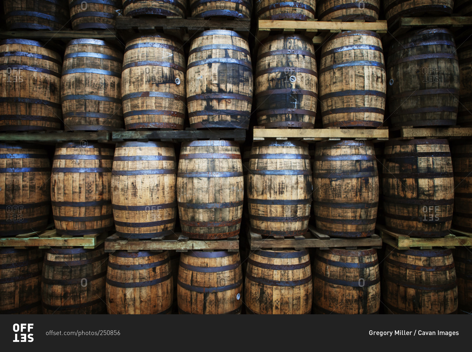 Stacks of wooden barrels - Stock Image - Everypixel