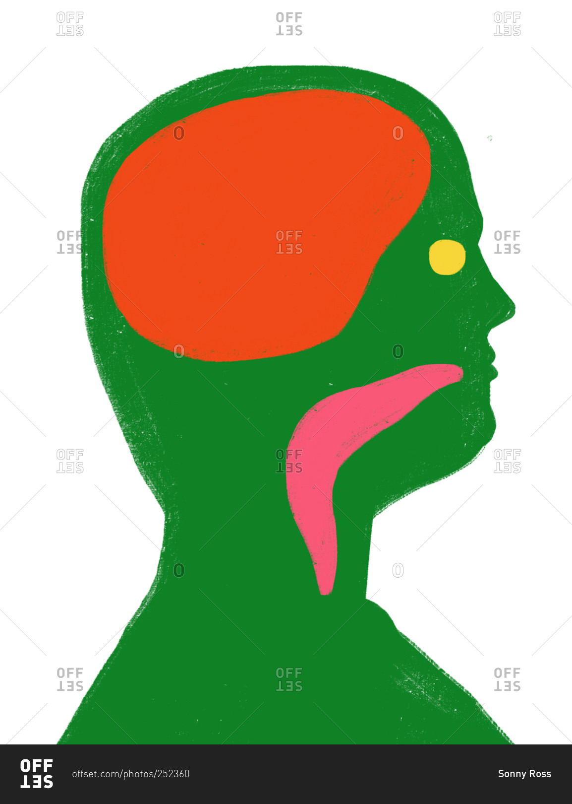 An illustration of the inside of a person's head stock photo - OFFSET