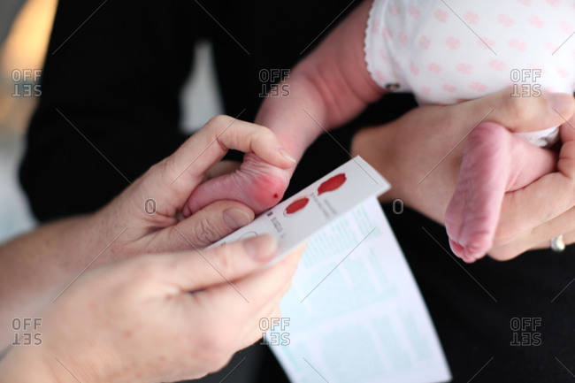 Baby's blood sample being taken from heel stock photo - OFFSET