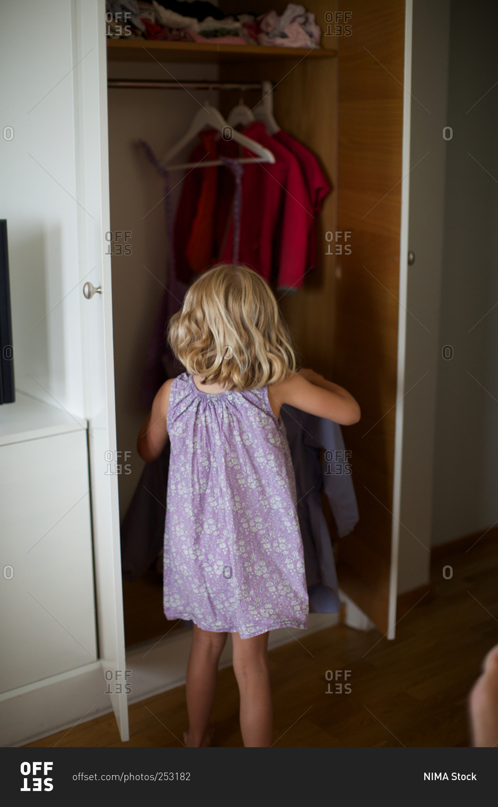 Rear view of girl removing clothes from wardrobe stock photo - OFFSET
