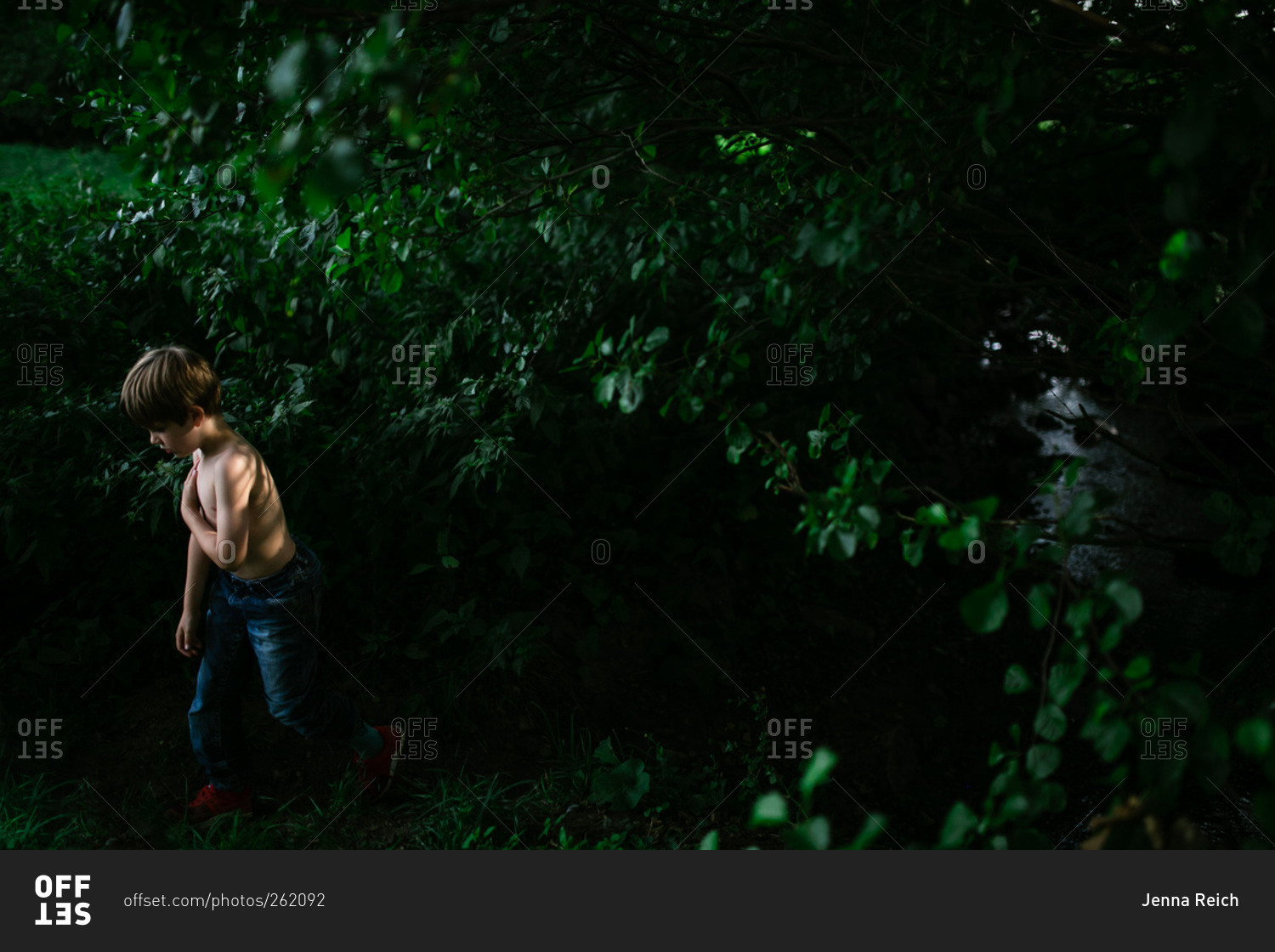 Boy walking out of a dark forest at dusk stock photo - OFFSET