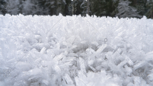 Close Up Of Hoar Frost Along The North Fork Of The Nooksak River During ...