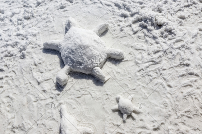 Sea turtles sculpted in snow - Stock Image - Everypixel
