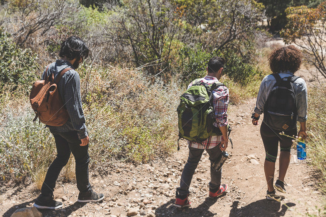 Group of young adults hiking down a hill - Stock Image - Everypixel