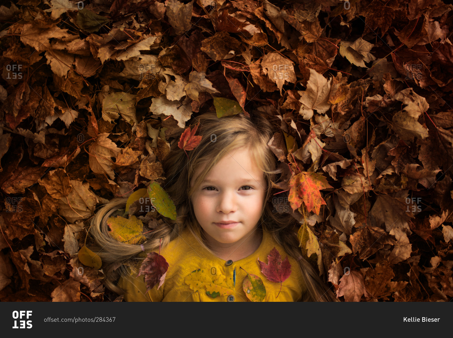 Girl In Falling Leaves Photography