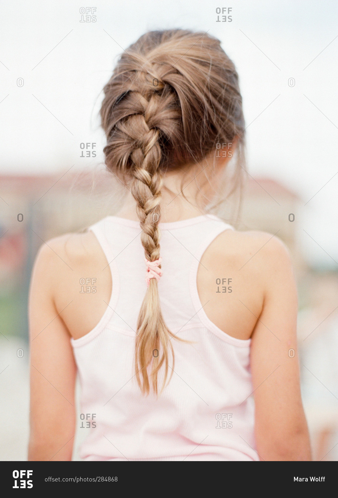 Braided Hair Back View