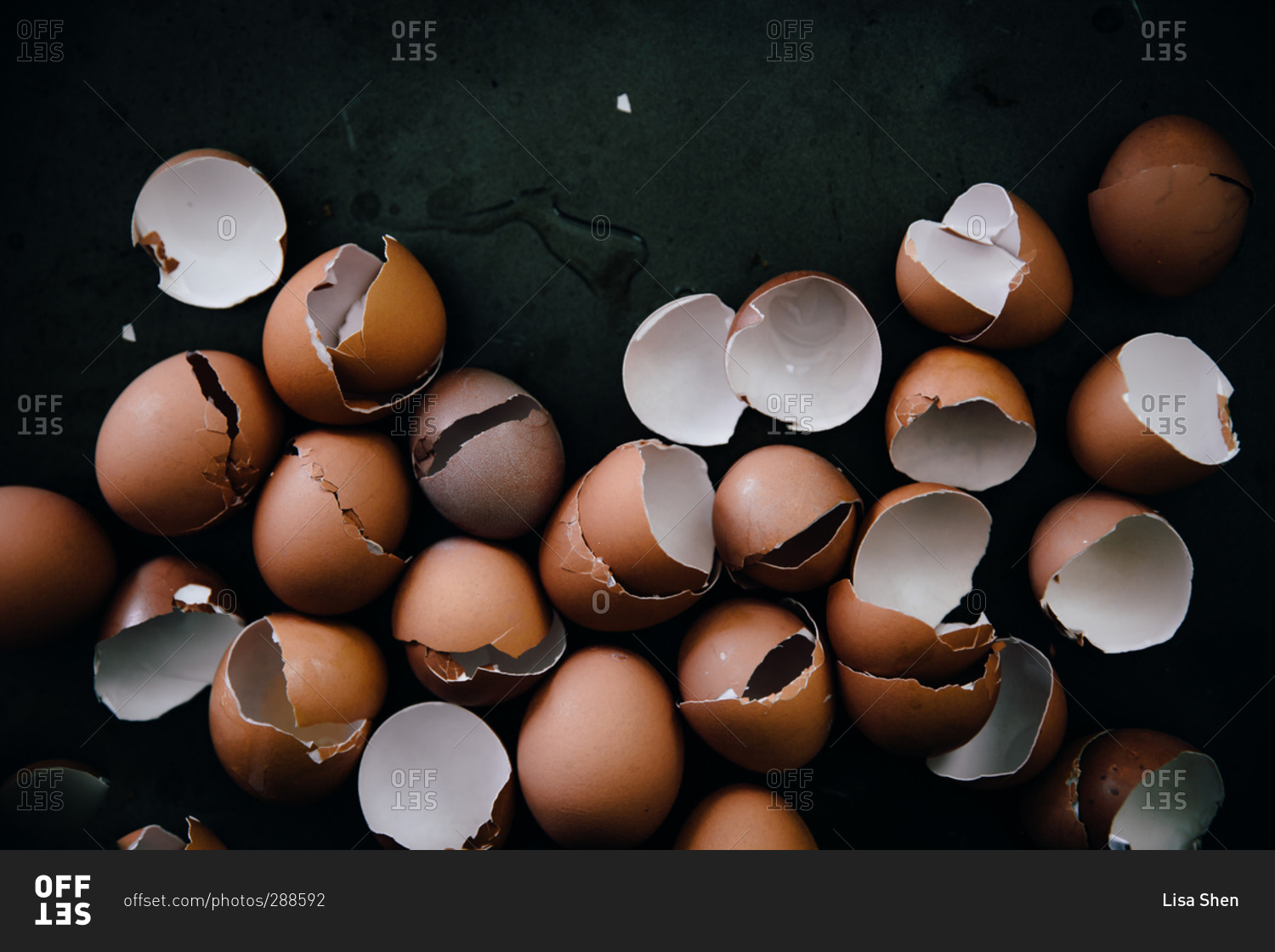 Several cracked egg shells stock photo - OFFSET