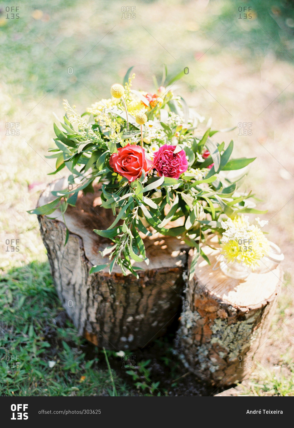 Tree Stump Flower Arrangements | Best Flower Site