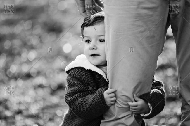 clinging to leg stock photos - OFFSET