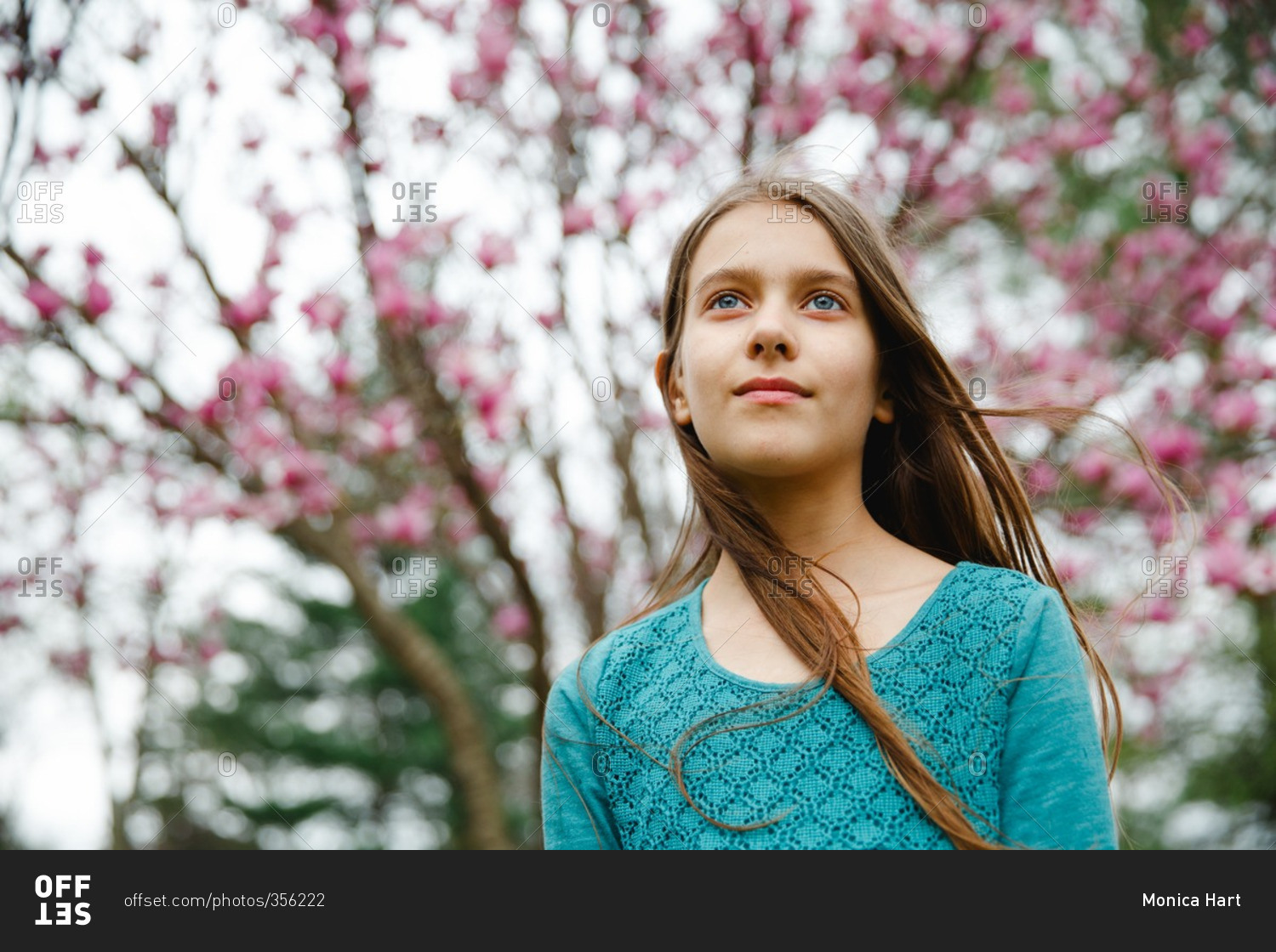 Tween girl standing in front of a blooming magnolia tree stock photo ...