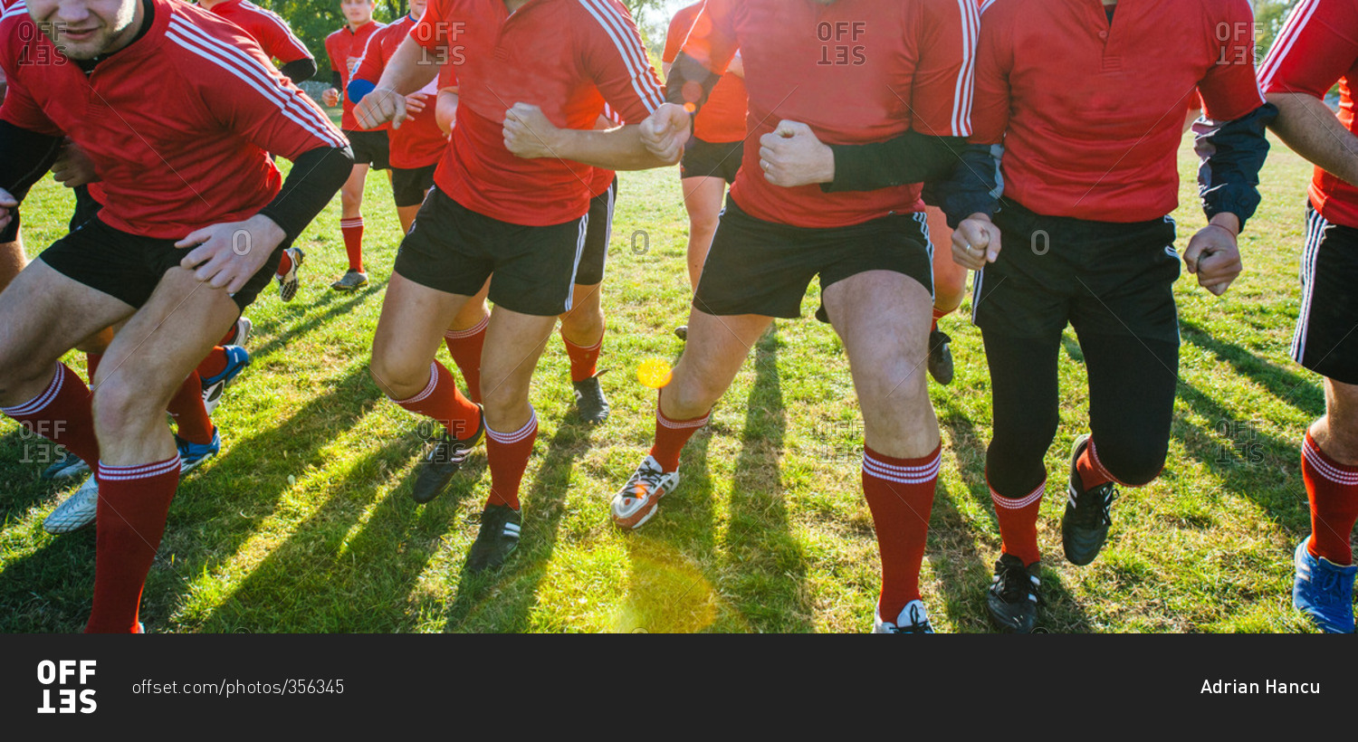 Rugby players running on the field after the ball with sun behind them ...