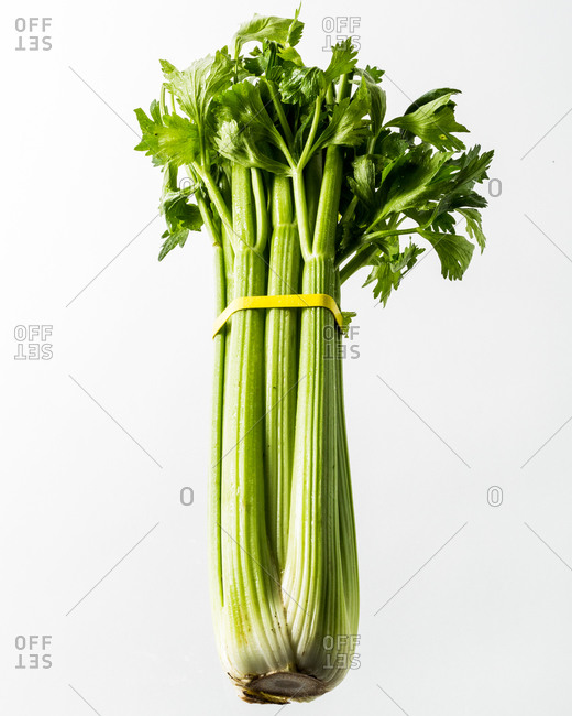 One Celery Stick