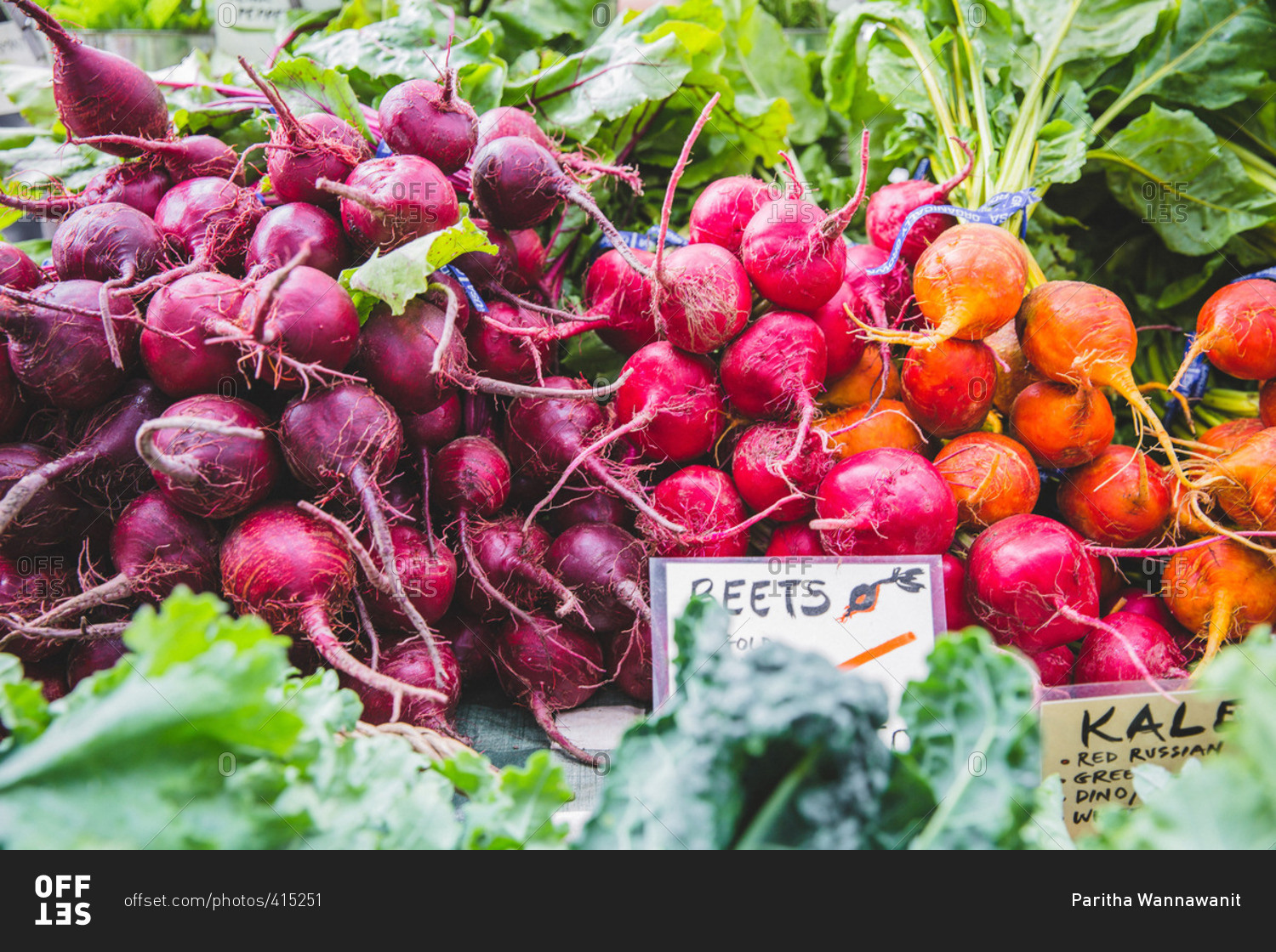 Variety of fresh beets for sale at a farmers market - Stock Image ...