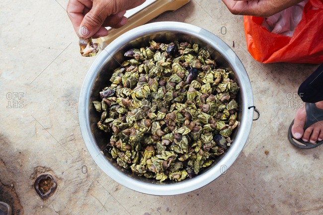 Goose Barnacle Cooked