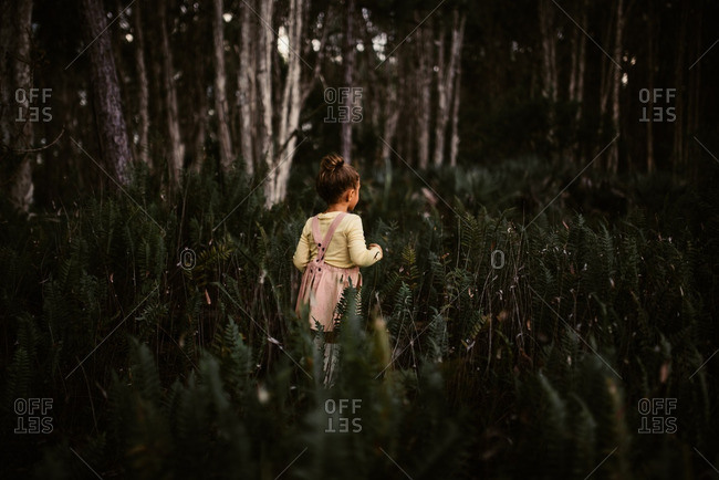 Little Girl Walking In The Woods