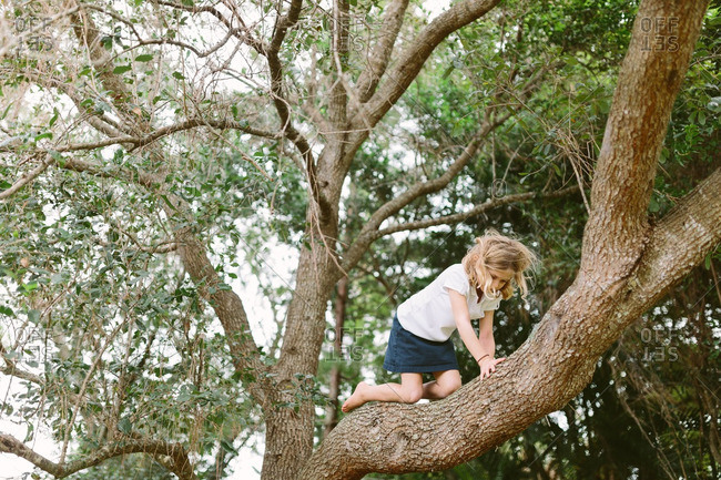 Young Girls Climbing Trees