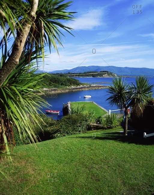 Isles Of Scilly Palm Trees