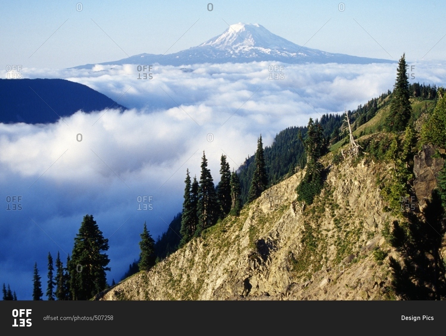 Mount Adams Above Cloud-Filled Valley, Washington, United States Of ...