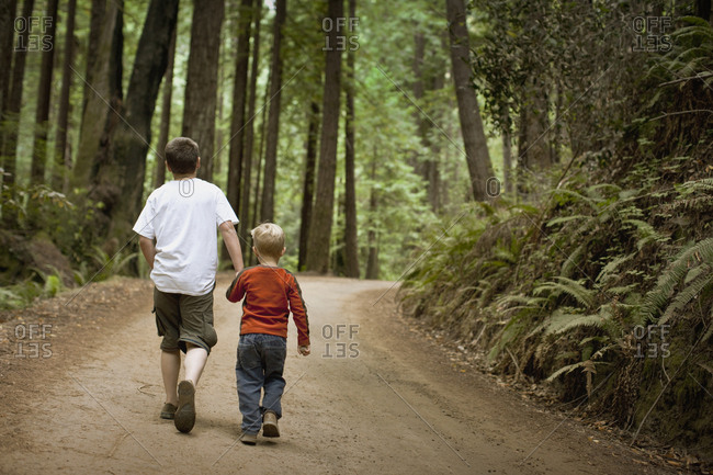 Two brothers walking along a forest path stock photo - OFFSET