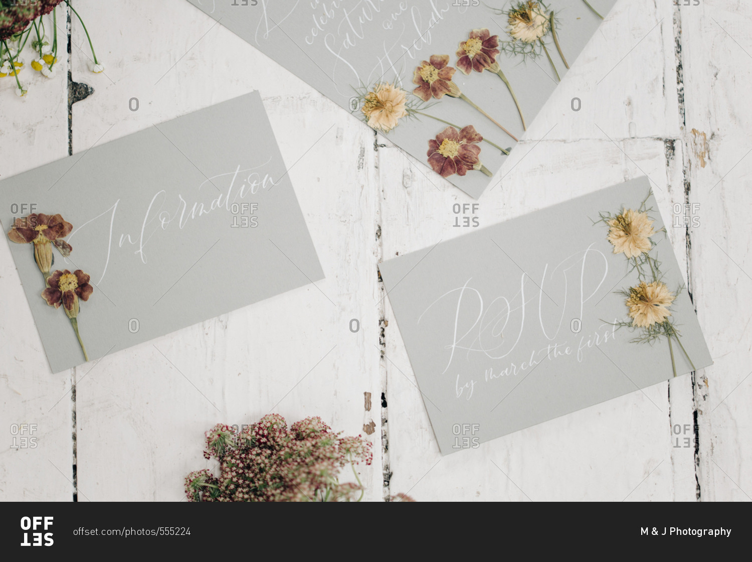 Pressed Flower Paper Wedding Invitations | Best Flower Site