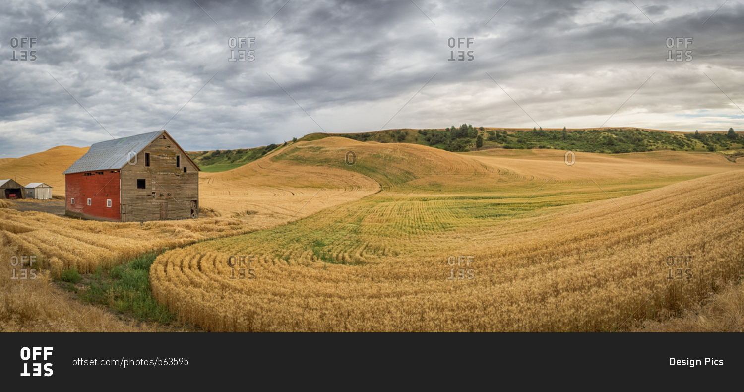 Farm Field Barn