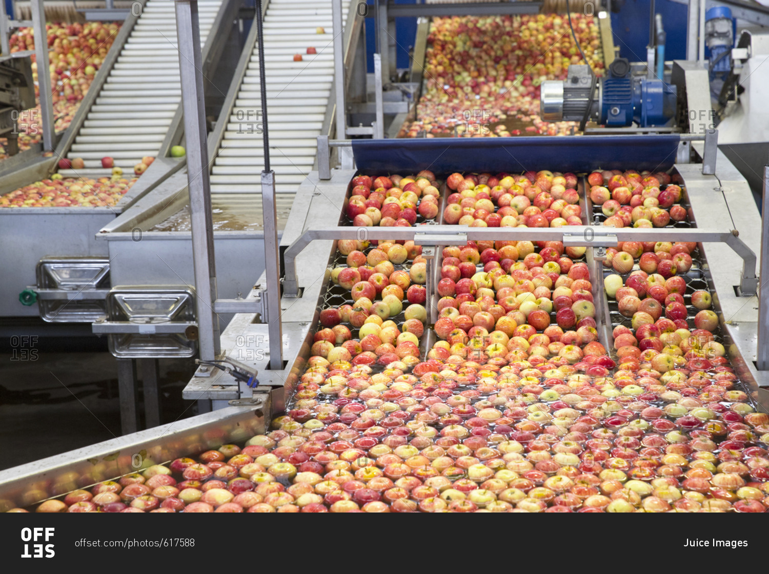 Apples Being Washed And Graded In Fruit Processing Plant stock photo ...