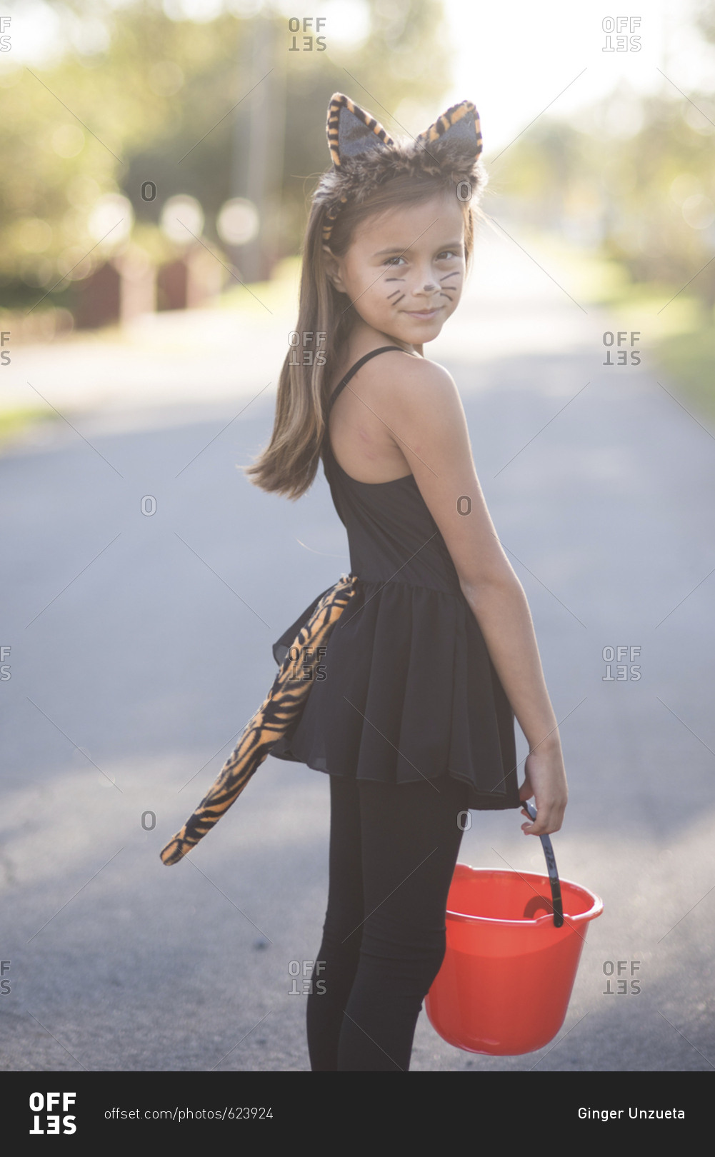 Nn Stacy Starlet Model