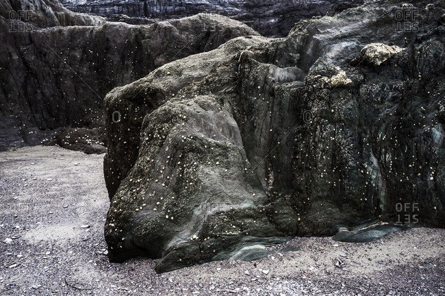 The smooth weathered rocks of the cliffs on the Devon coastline showing ...