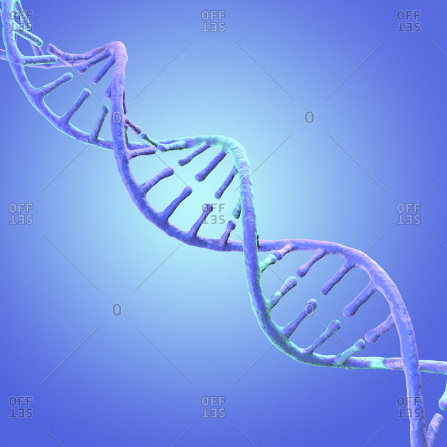 Dna Strand
