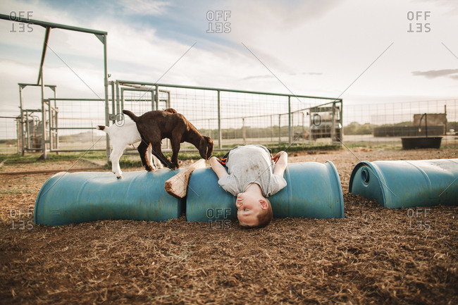 Upside Down Goat Smiles