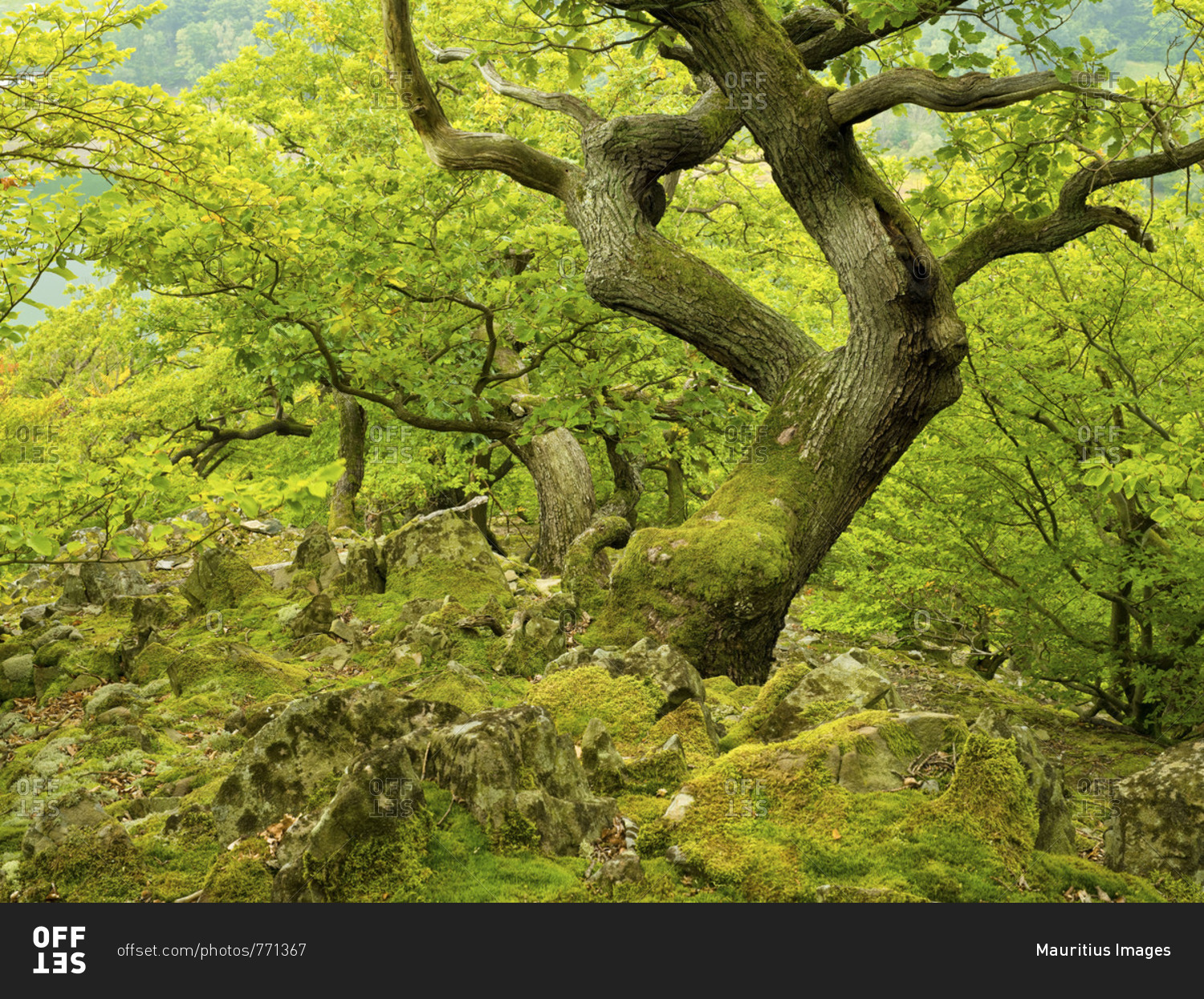 Germany, Hesse, Vohl, nature and national park Kellerwald-Edersee ...