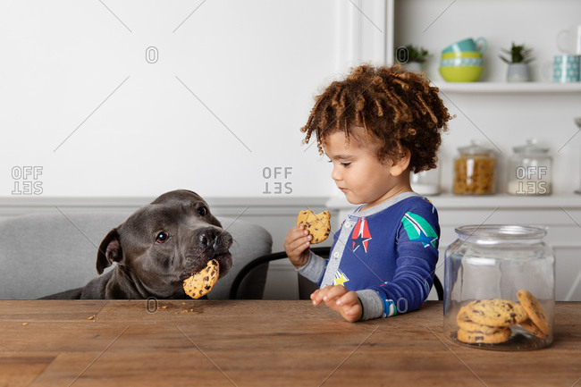 Kids Stealing Cookies