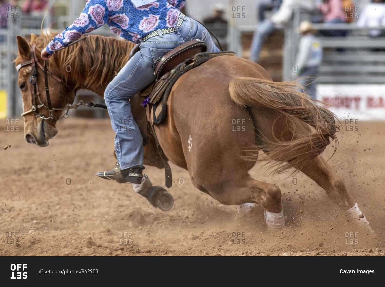 Black Quarter Horses Barrel Racing