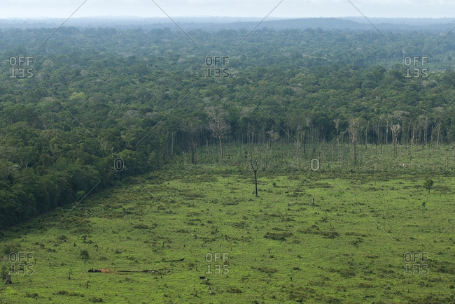 Brazilian Landscape