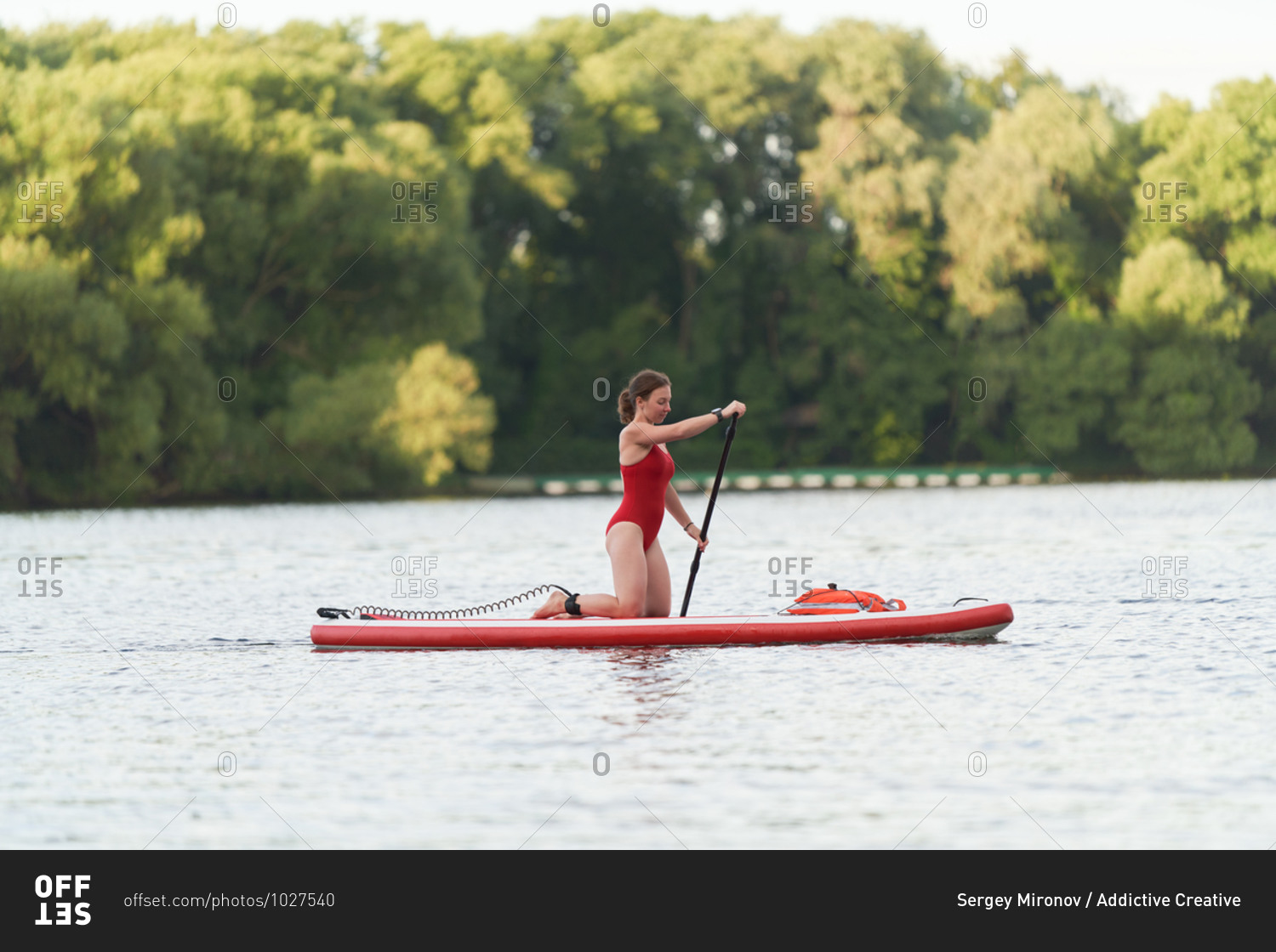 Side view of woman standing on paddle board in river and rowing with ...