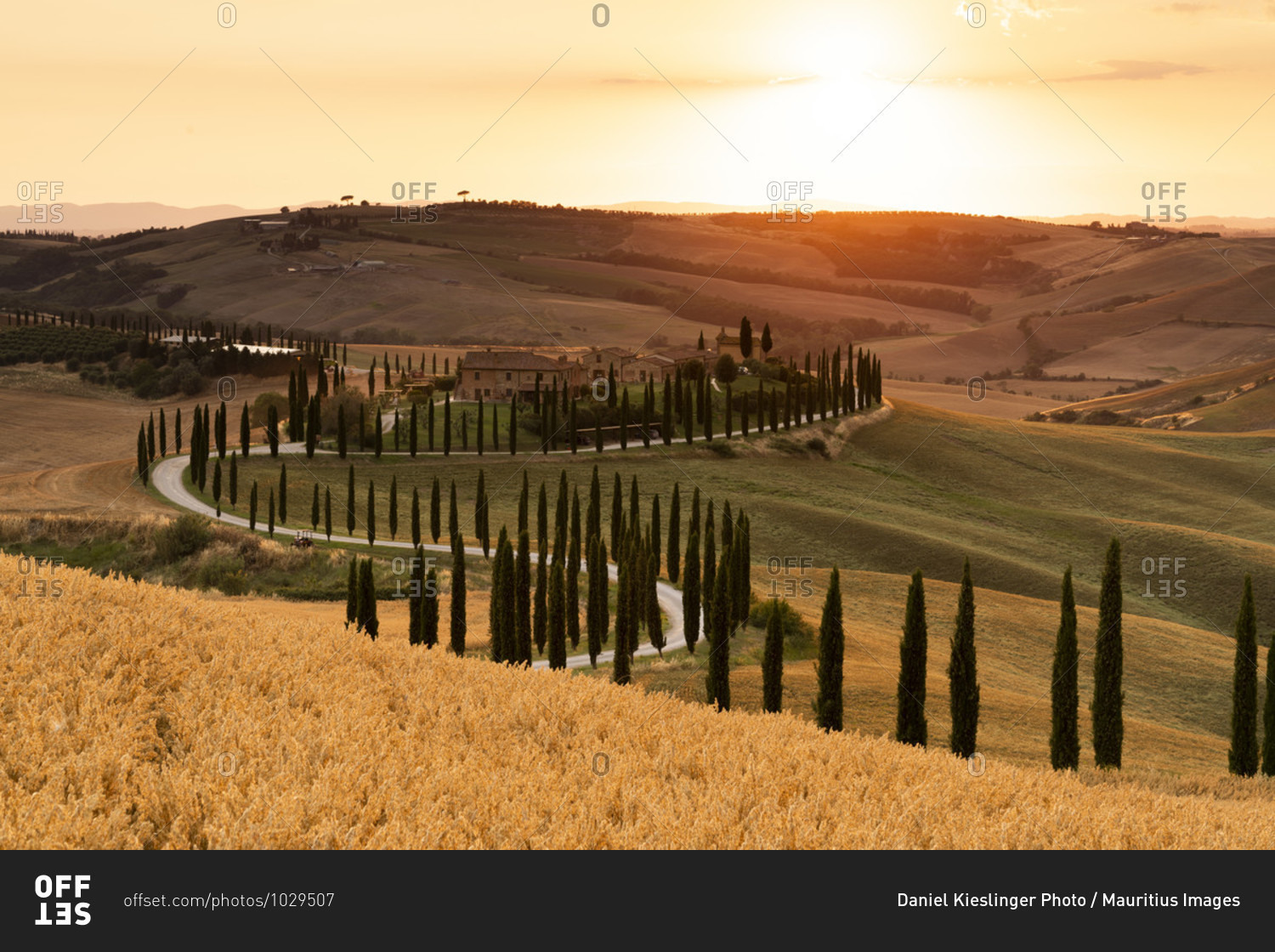 Europe, Italy, Agriturismo Baccoleno,Tuscan Landscape, Province of ...