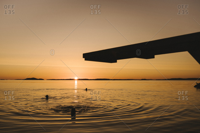 Springboard Diving Silhouette