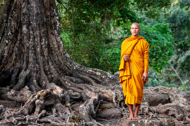 Buddhist Monks Meditation Forest