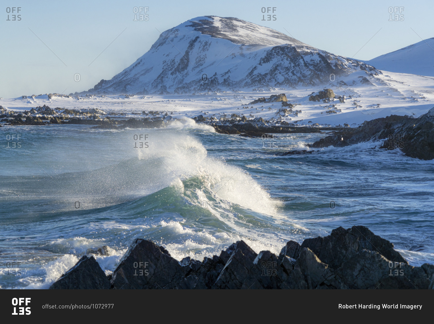 Waves of cold Barents Sea rising up before breaking on rocks ...