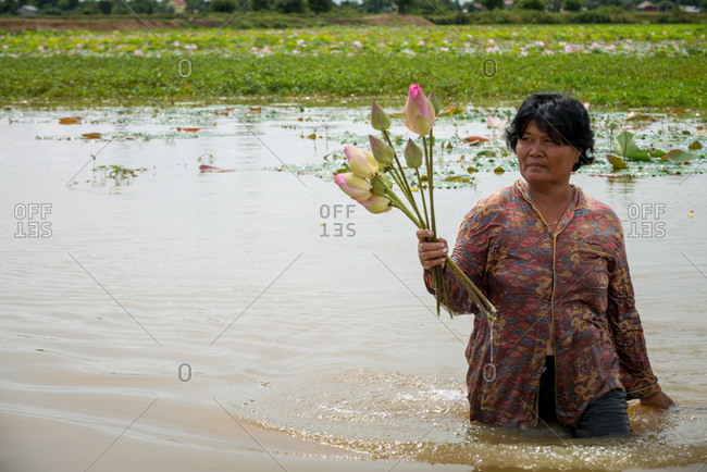 Lotus Flower Fertility | Best Flower Site